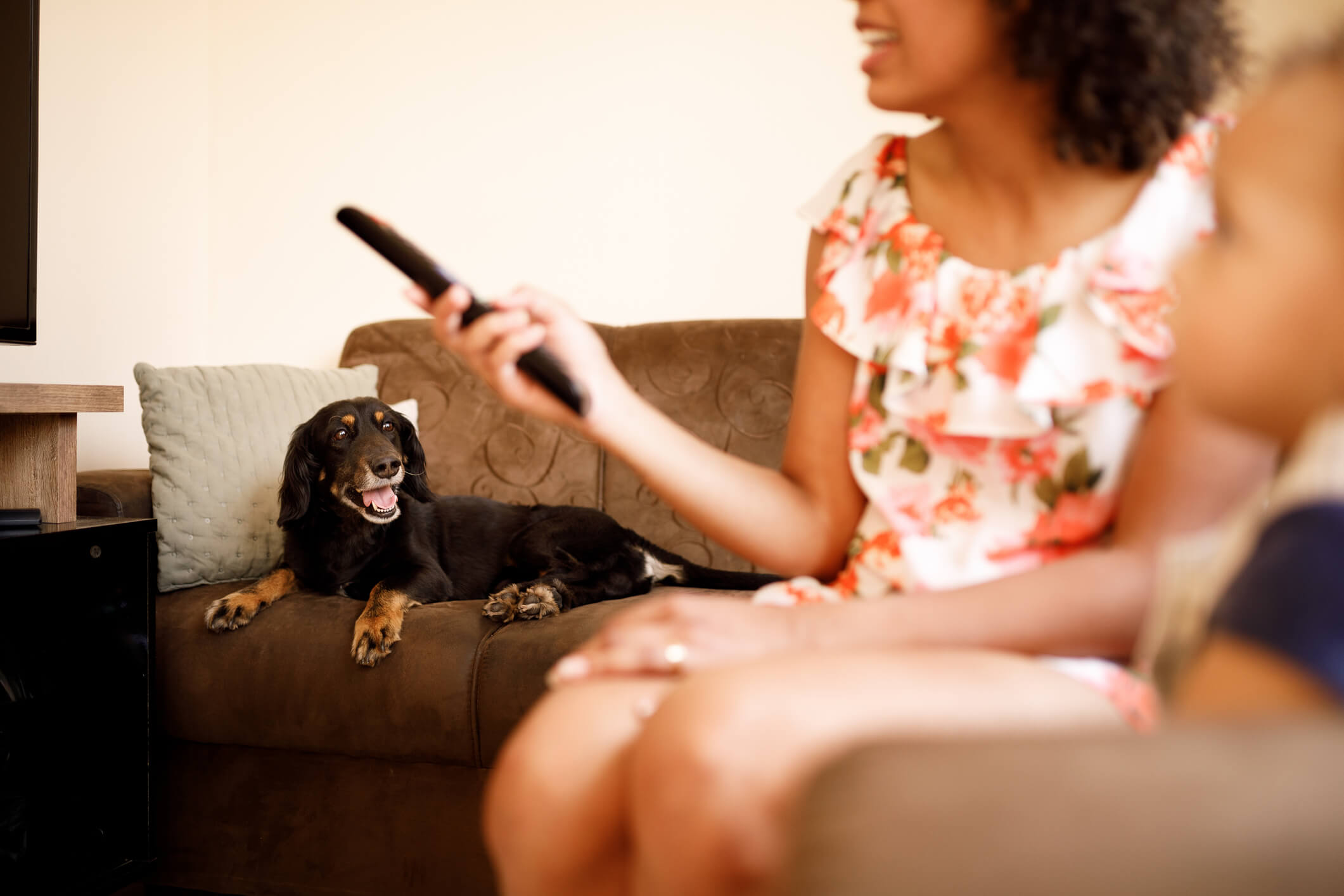 Best Free Streaming Services 2021 | Reviews.org