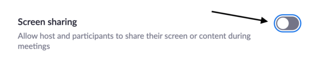 6 Must-Use Zoom Security Settings | Reviews.org