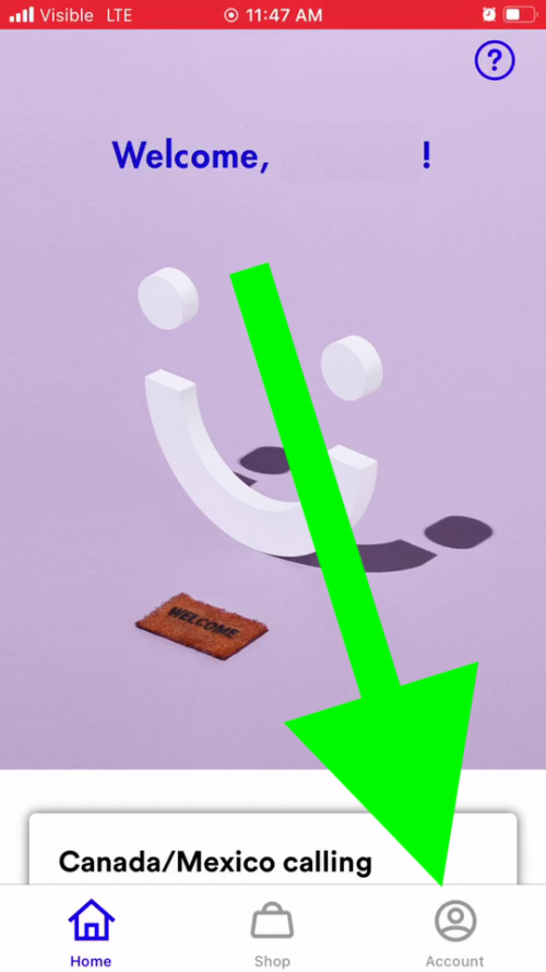 How to Pay Your Visible Wireless Bill: Step by Step | Reviews.org