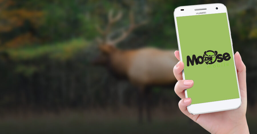 Moose Mobile review: Plans and coverage compared | Reviews.org